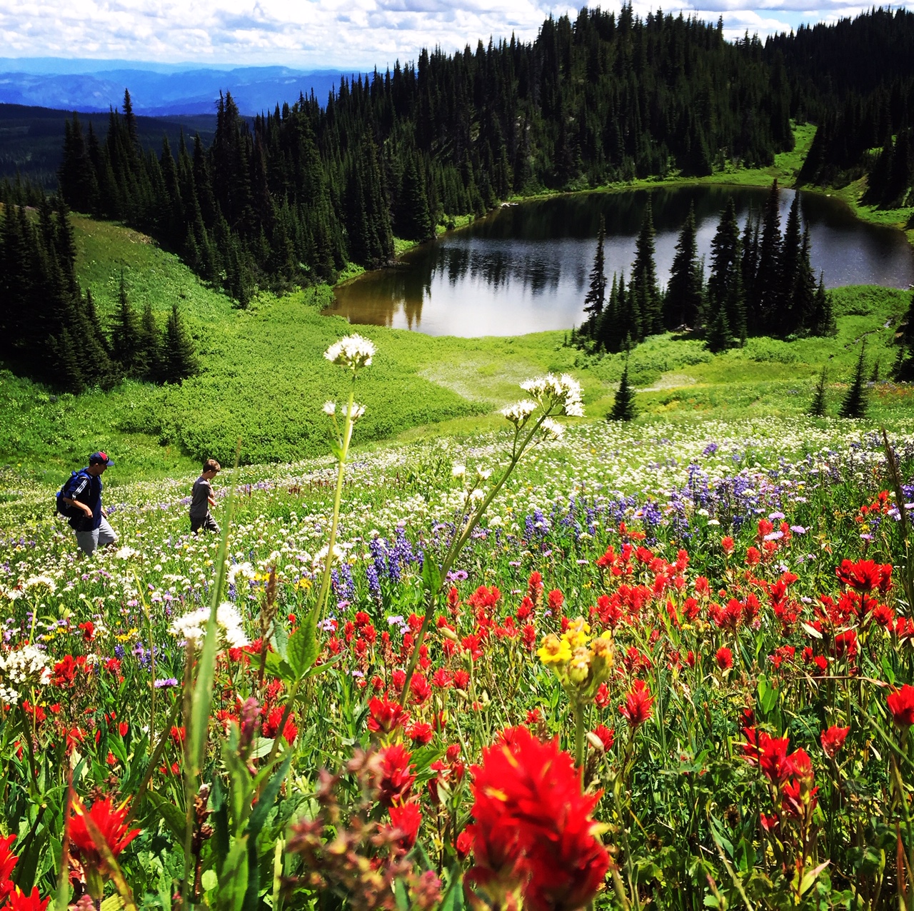 Best Sun Peaks Vacation Rentals, Accommodation and Activities